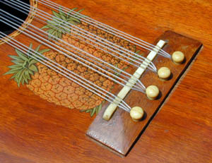 The Ukulele Hall of Fame Museum - Samuel Kamaka